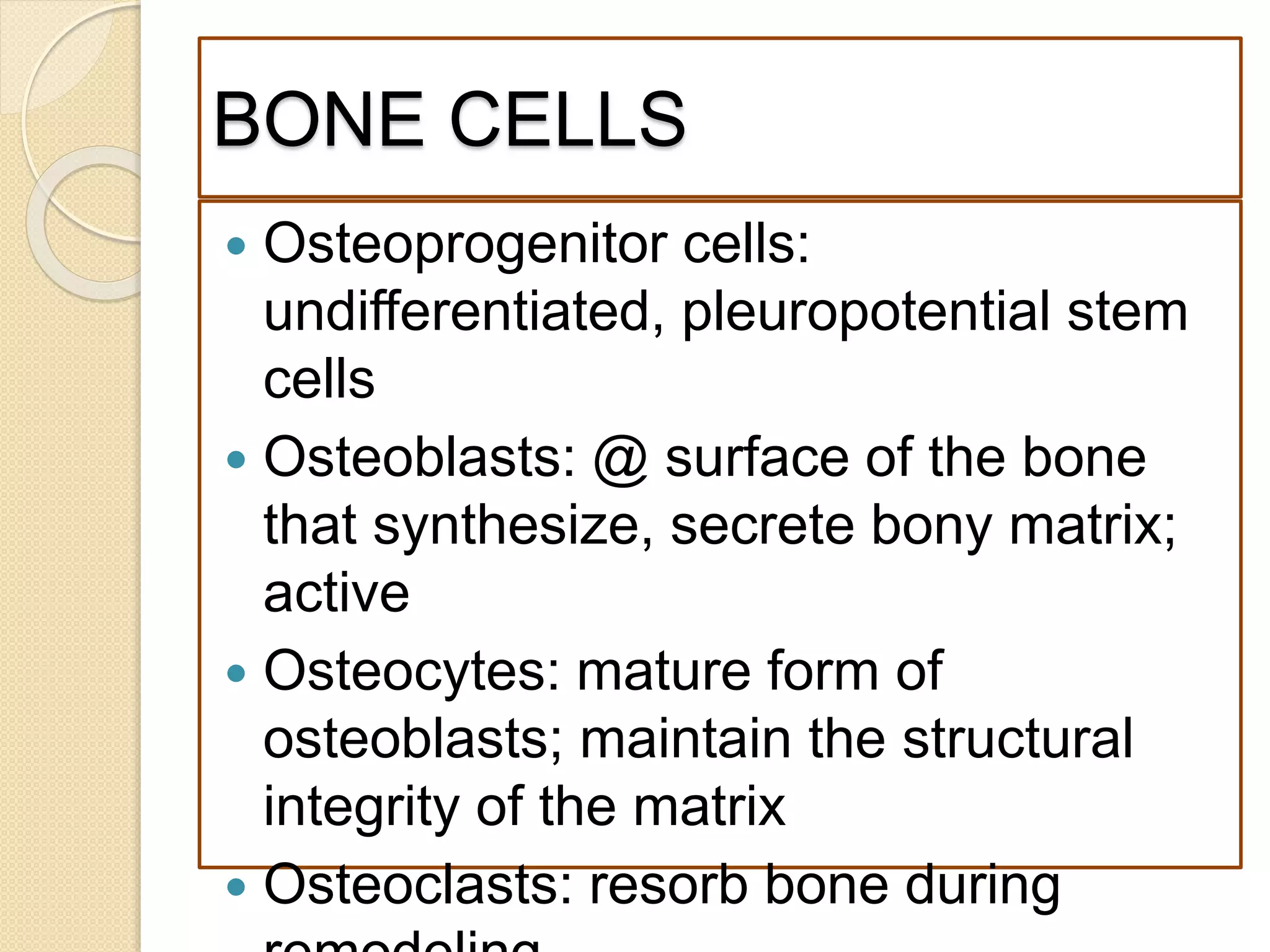 Histology - Specialized Connective Tissues (BONE) | PPTX