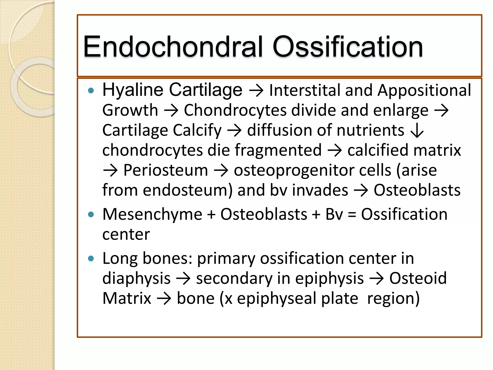 Histology - Specialized Connective Tissues (BONE) | PPTX