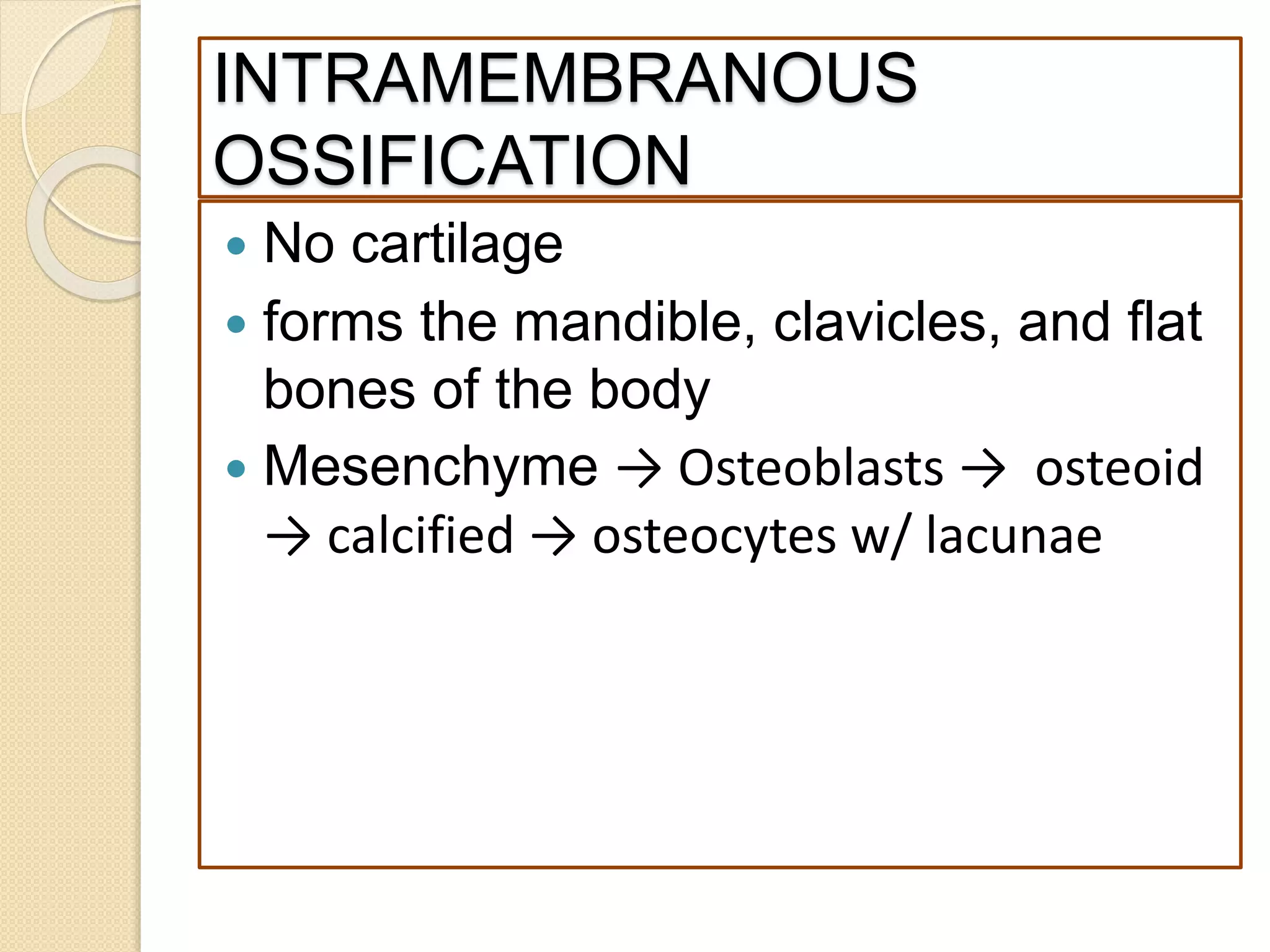 Histology - Specialized Connective Tissues (BONE) | PPTX