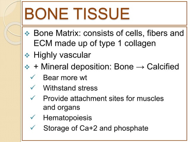 Histology - Specialized Connective Tissues (BONE) | PPTX | Bone and ...