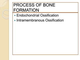 Histology - Specialized Connective Tissues (BONE) | PPTX