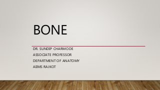 Bone.pptx