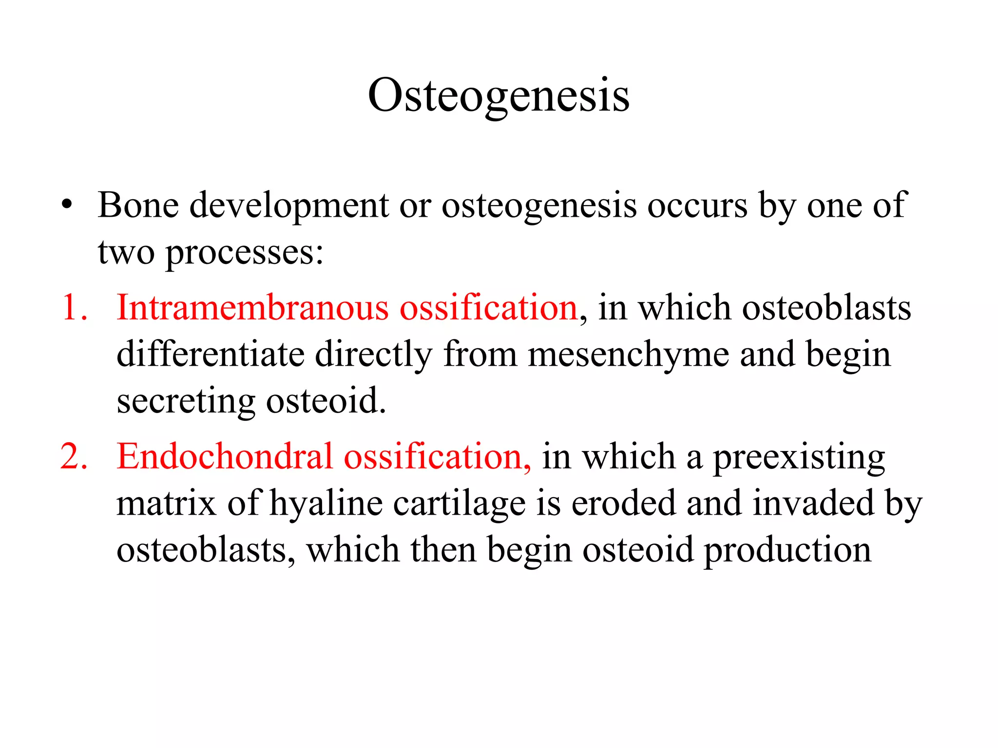 bone.pptx | Bone and Joint Conditions | Diseases and Conditions