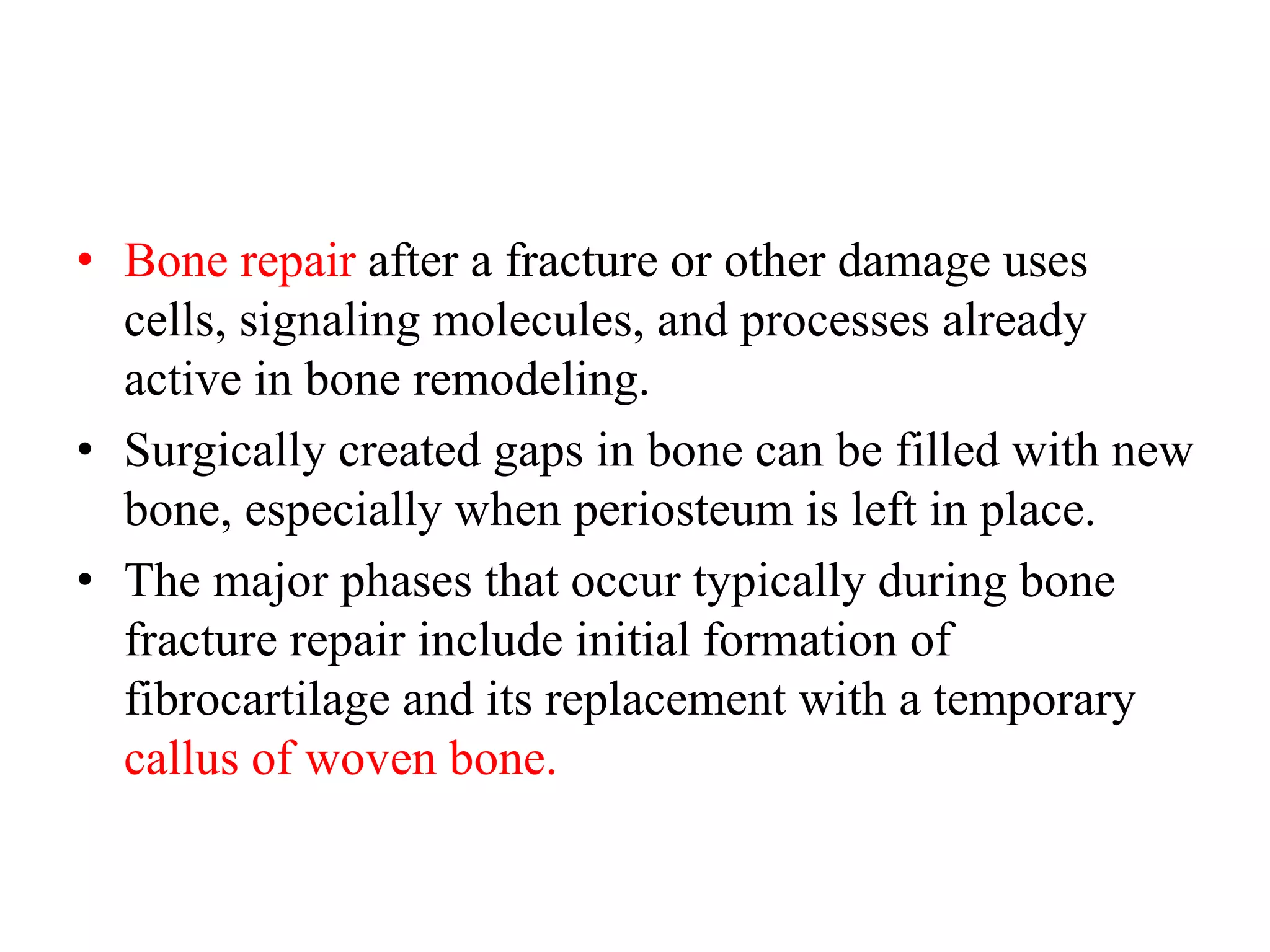 bone.pptx | Bone and Joint Conditions | Diseases and Conditions