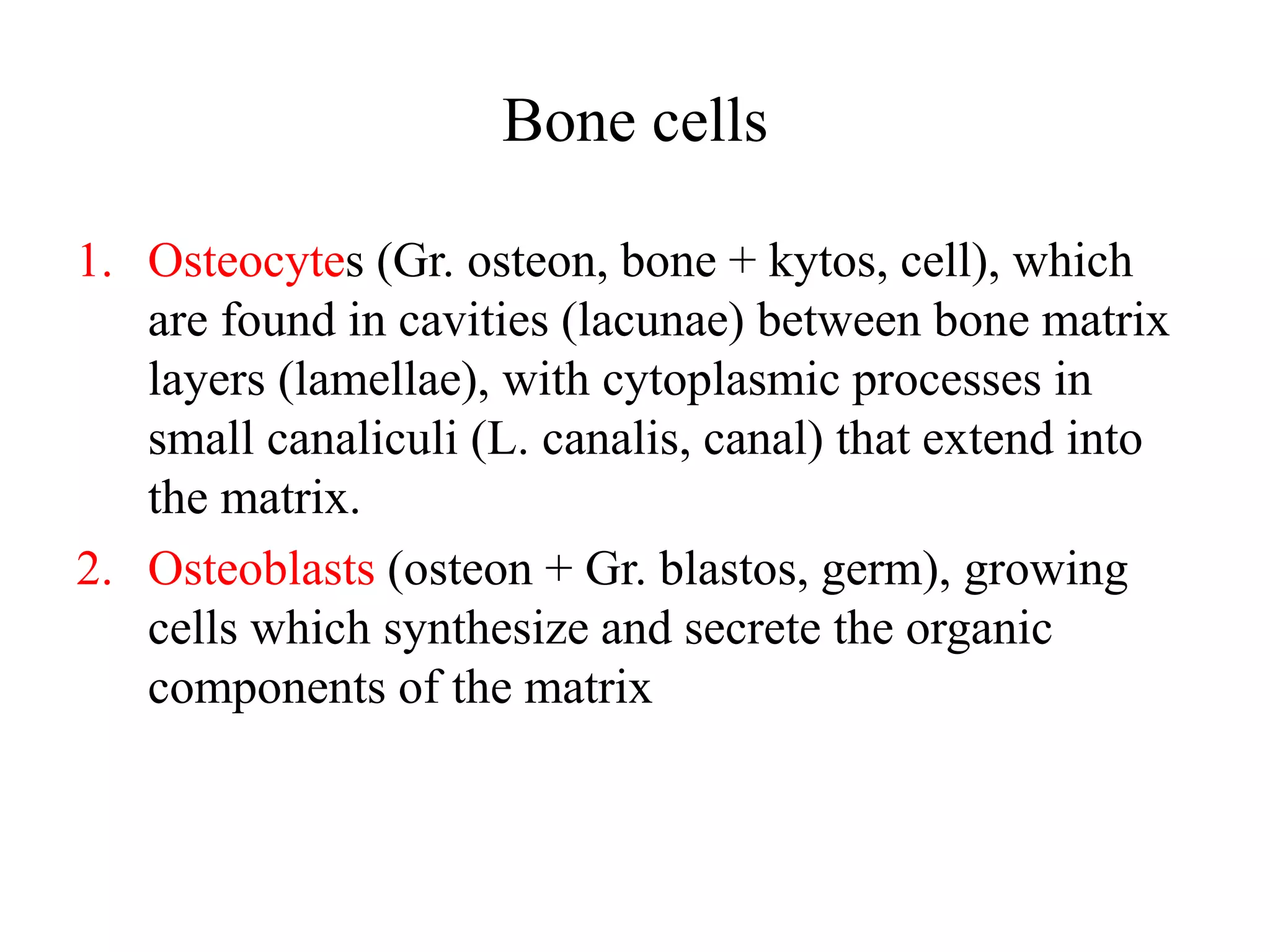 bone.pptx | Bone and Joint Conditions | Diseases and Conditions