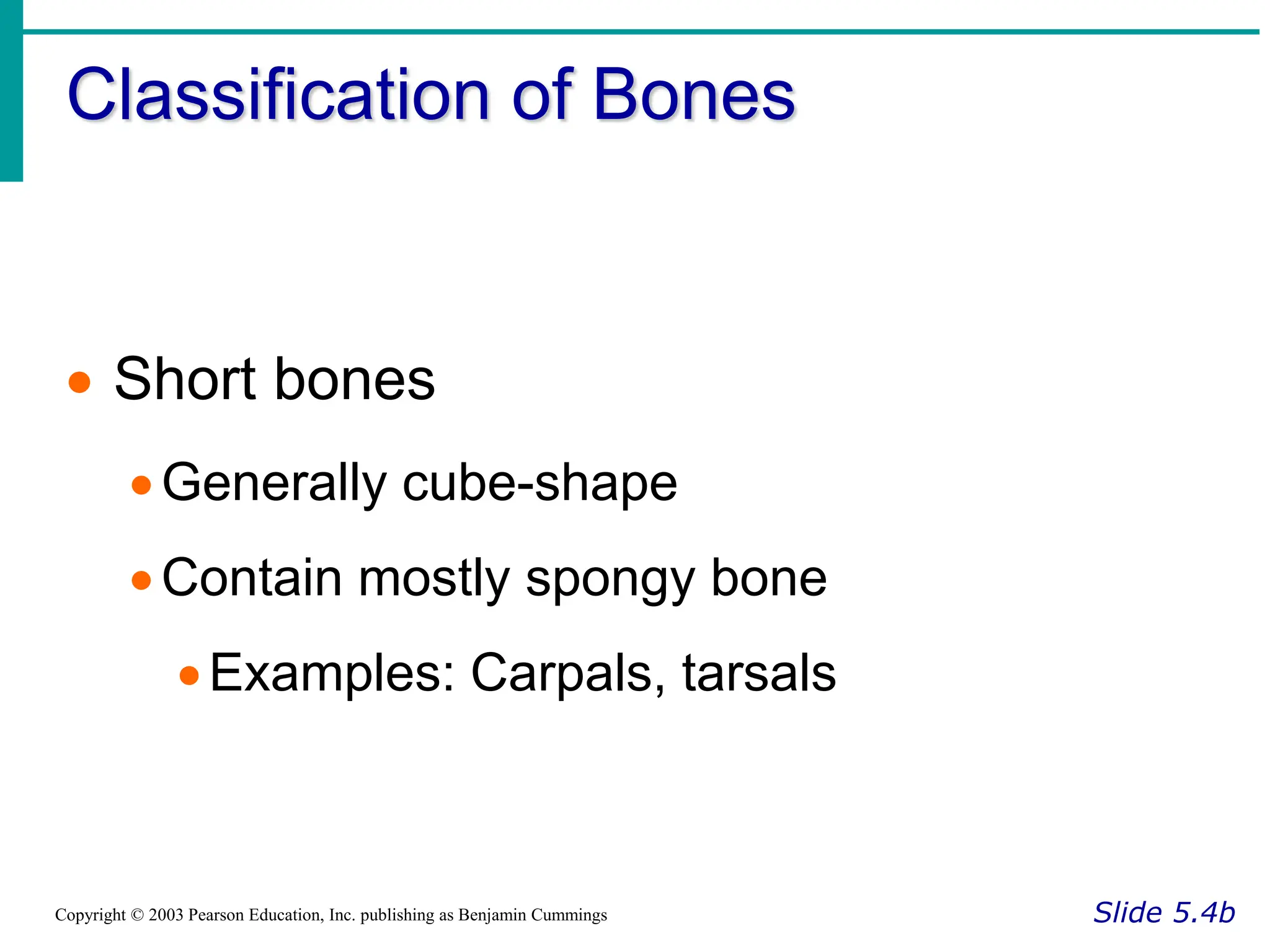 Basic Anatomy Lecture and Summarized for Students | PPT