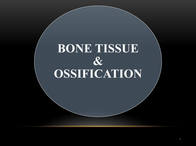 bone.pdf histology for first year medical students | PPT