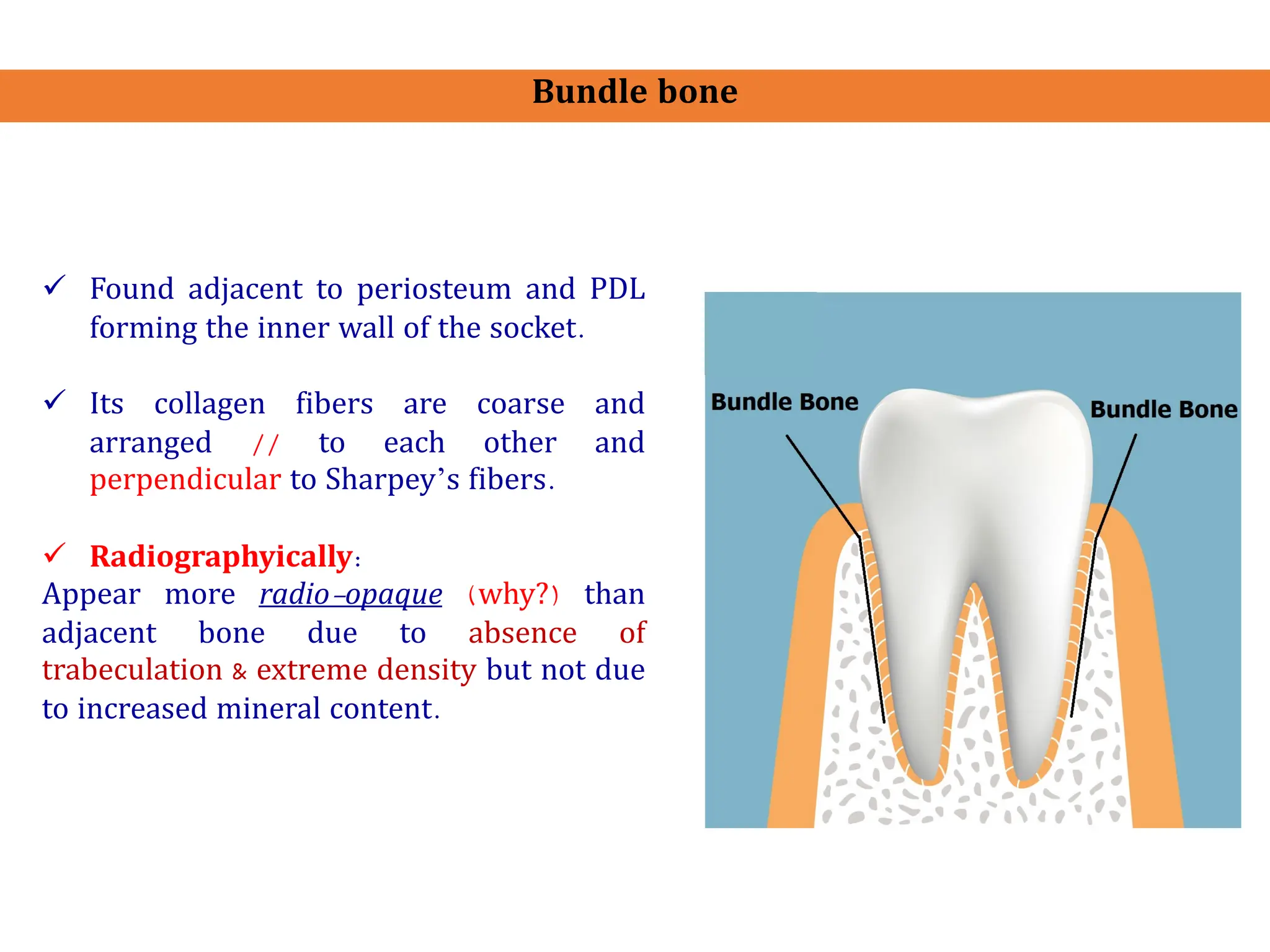 bone full chapter for "oral biology".pdf