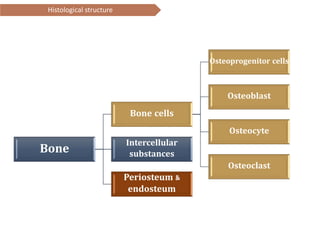 bone full chapter for "oral biology".pdf