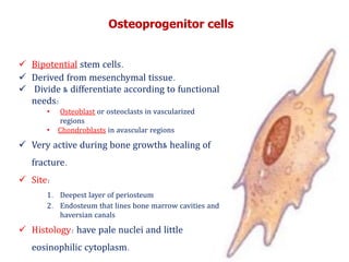 bone full chapter for "oral biology".pdf