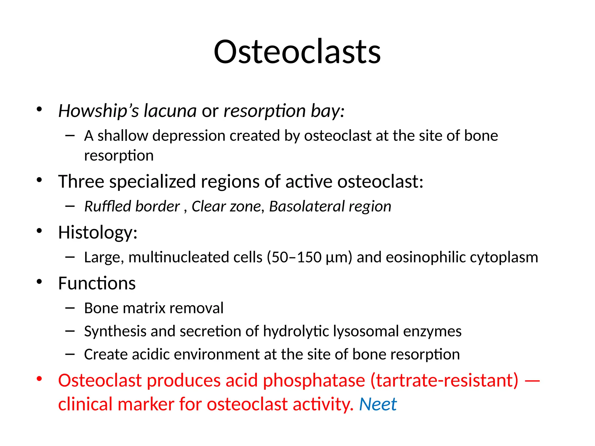 Bone 1st year anatomy and histology mbbs.pptx