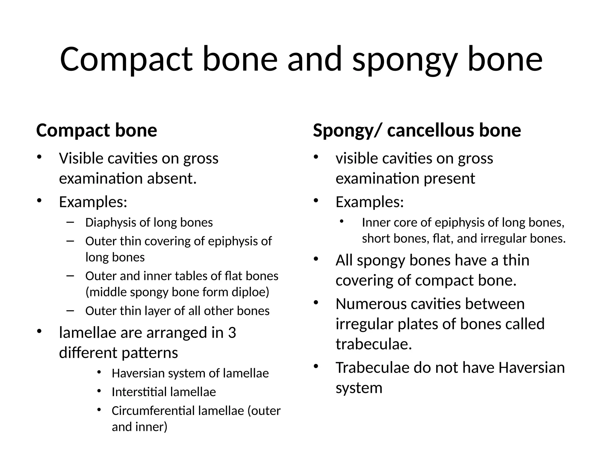 Bone 1st year anatomy and histology mbbs.pptx
