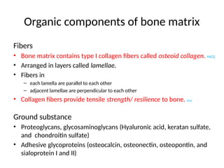 Bone 1st year anatomy and histology mbbs.pptx