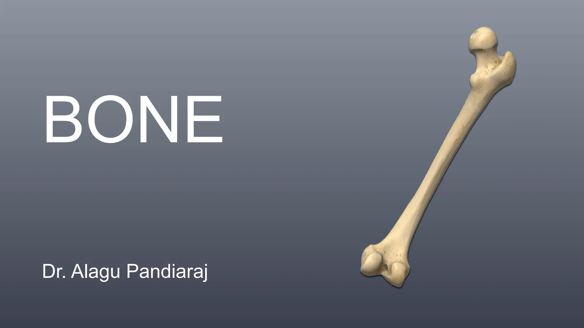 Histology bone anatomy general features.ppt