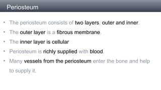 Histology bone anatomy general features.ppt