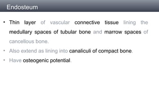 Histology bone anatomy general features.ppt
