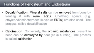 Histology bone anatomy general features.ppt