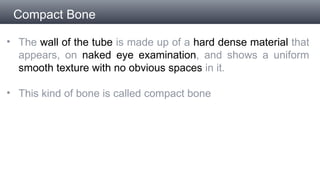 Histology bone anatomy general features.ppt