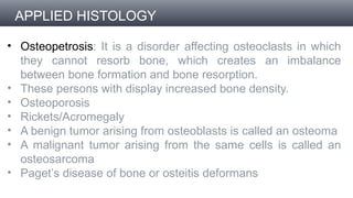 Histology bone anatomy general features.ppt