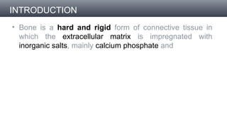 Histology bone anatomy general features.ppt