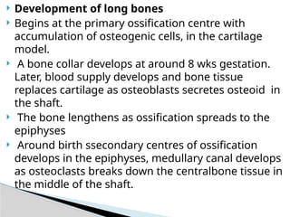 BONE.power point presentation anatomy and physiology | PPTX