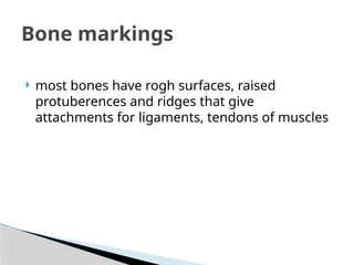 BONE.power point presentation anatomy and physiology | PPTX