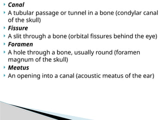 BONE.power point presentation anatomy and physiology | PPTX