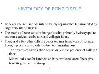 BONE-TYPES,CLASSIFICATION,HISTOLOGY,FRACTURE, | PPT
