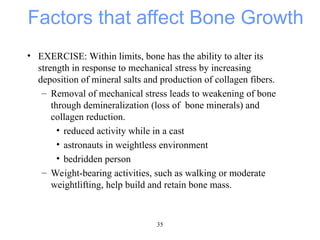 BONE-TYPES,CLASSIFICATION,HISTOLOGY,FRACTURE, | PPT