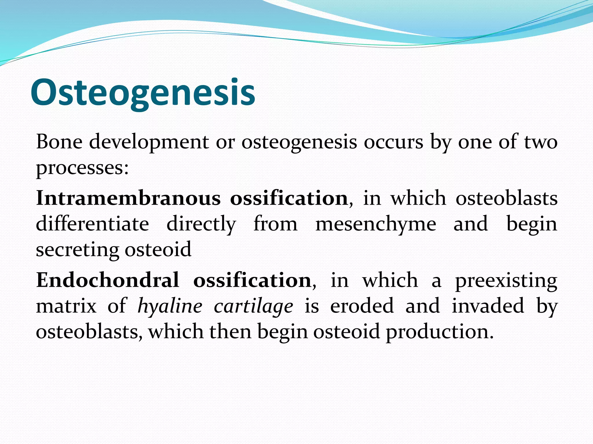 Bone histology | PPTX
