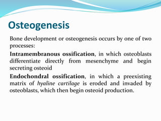 Bone histology | PPTX