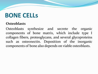 Bone histology | PPTX