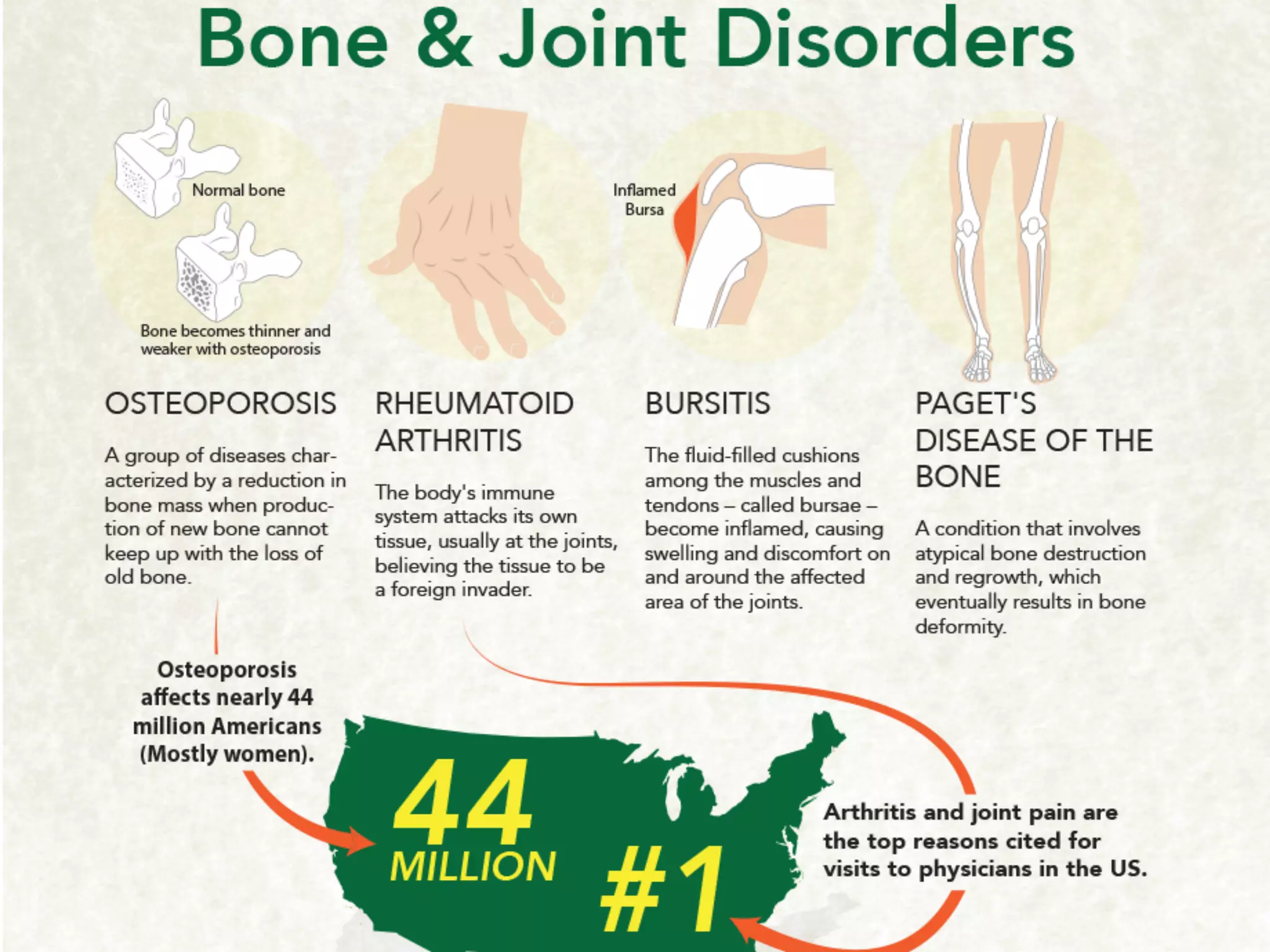 Bone & Joint Health | PDF