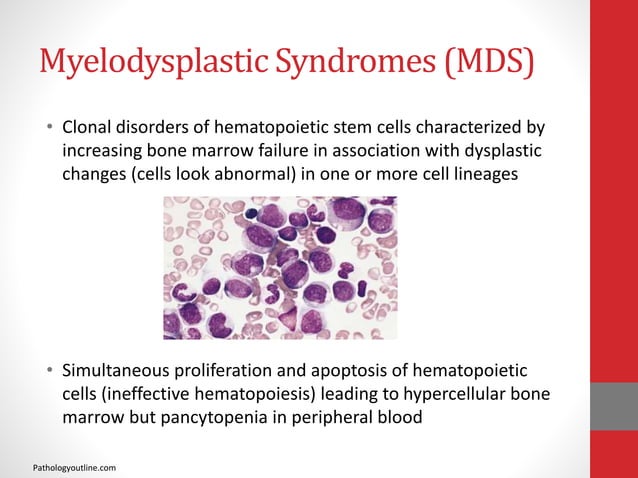Bone-Marrow-Failure-Diseases-Sept-18-2018 - Copy.pptx | Blood Disorders ...