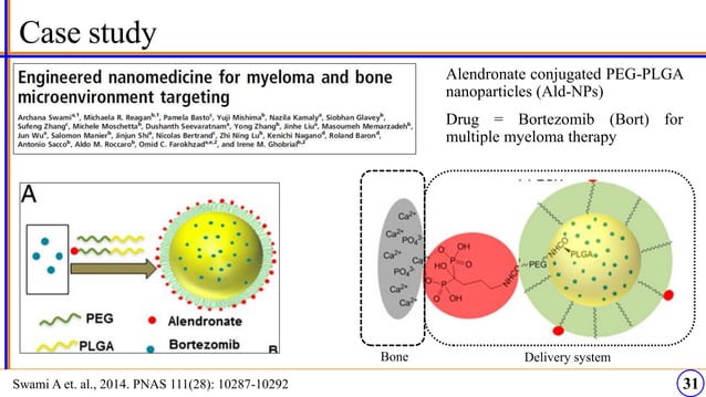 Bone marrow targeting-converted | PDF