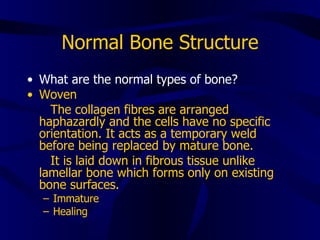 Bone Metabolism Ortho New | PPT
