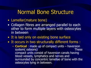 Bone Metabolism Ortho New | PPT