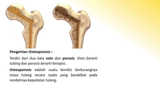 Longrich Bone-M | PPT