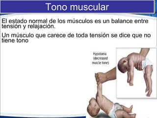 Musculo Esqueletico | PPTX