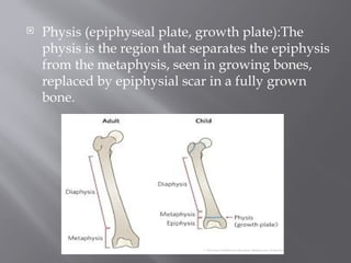 BONE-TUMORS. review of bone and benign bone tumors | PPTX