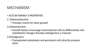 BONE GRAFTING AND SUBSTITUTES | PPTX