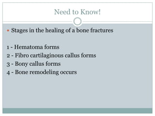 Bone Fractures | PPTX