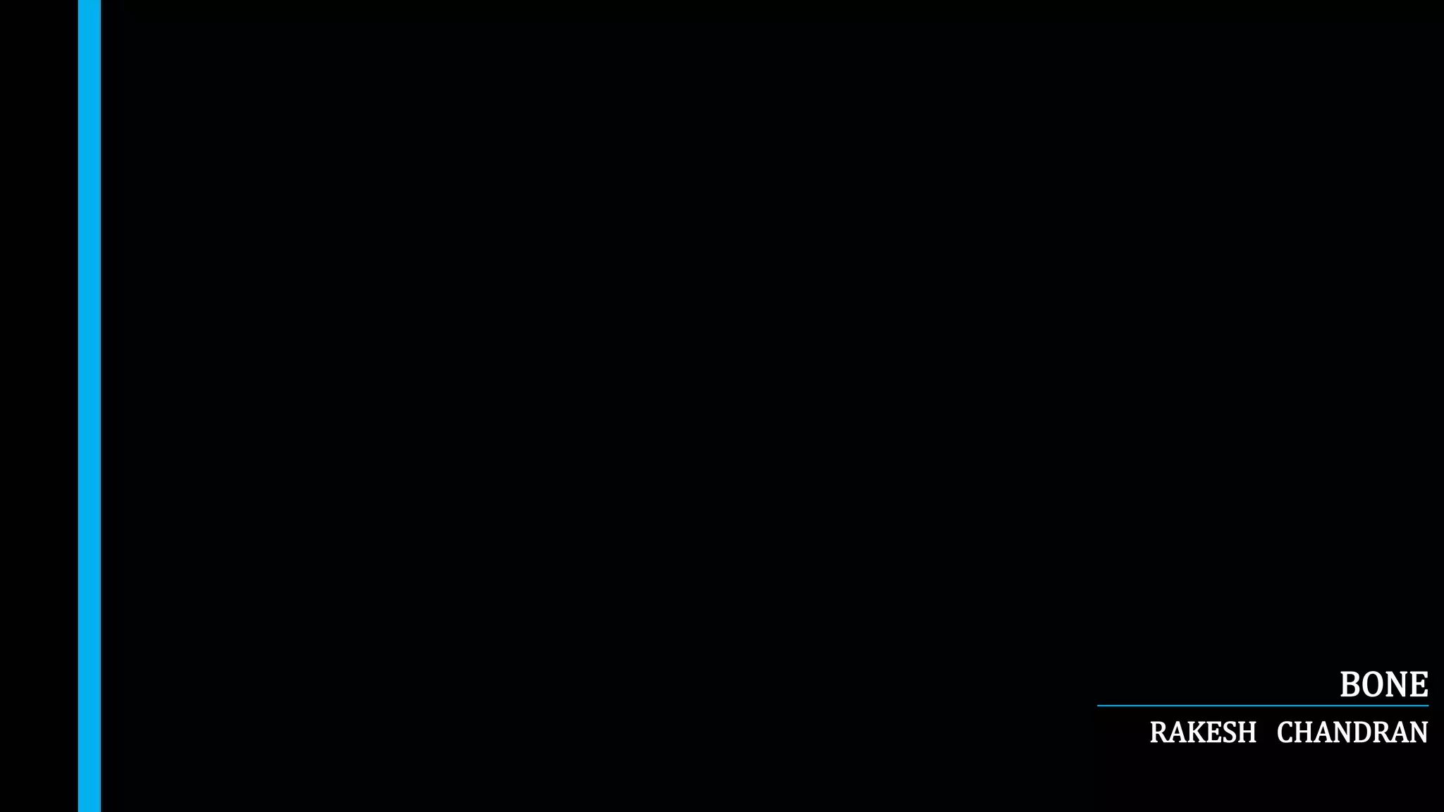 Bone Structure and Function | PPT