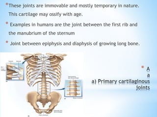 bone anatomy.pptx
