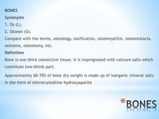 bone anatomy.pptx