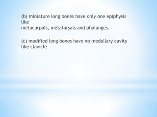 bone anatomy.pptx