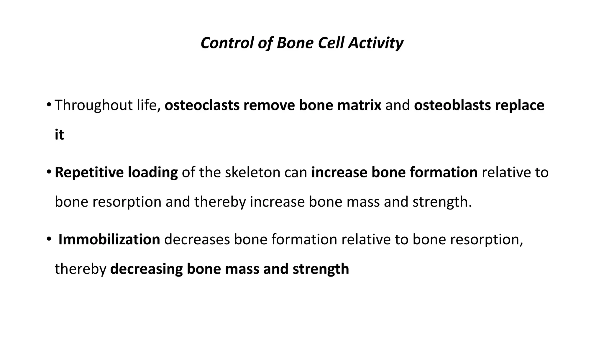 BONE ANATOMY.pptx