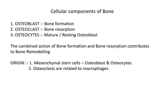 BONE ANATOMY.pptx