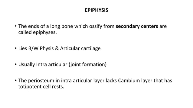 BONE ANATOMY.pptx