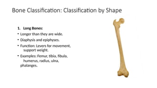BONE ANATOMY , HISTOLOGY, FORMATION OF BONE | PPTX